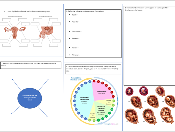 Year 7 Reproduction Revision Sheet Teaching Resources