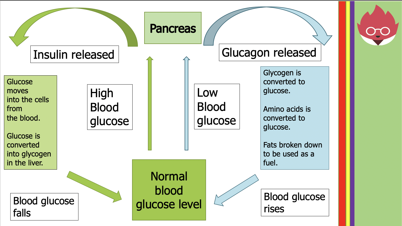 Aqa Gcse Biology Control Of Blood Glucose Levels Teaching Resources