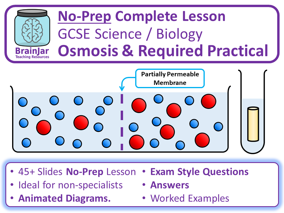 Osmosis And Required Practical Teaching Resources