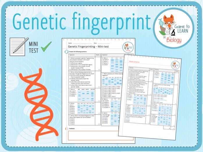 Genetic Fingerprinting Mini Test Ks4 Teaching Resources