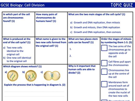 Cell Division Gcse Cell Division