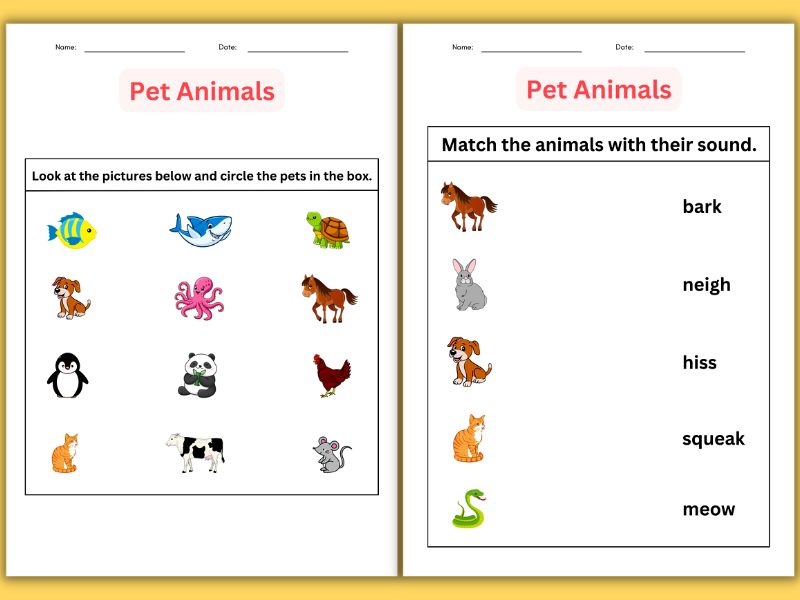 Printable Identifying And Matching Pet Animals Worksheet For Grade 1 2