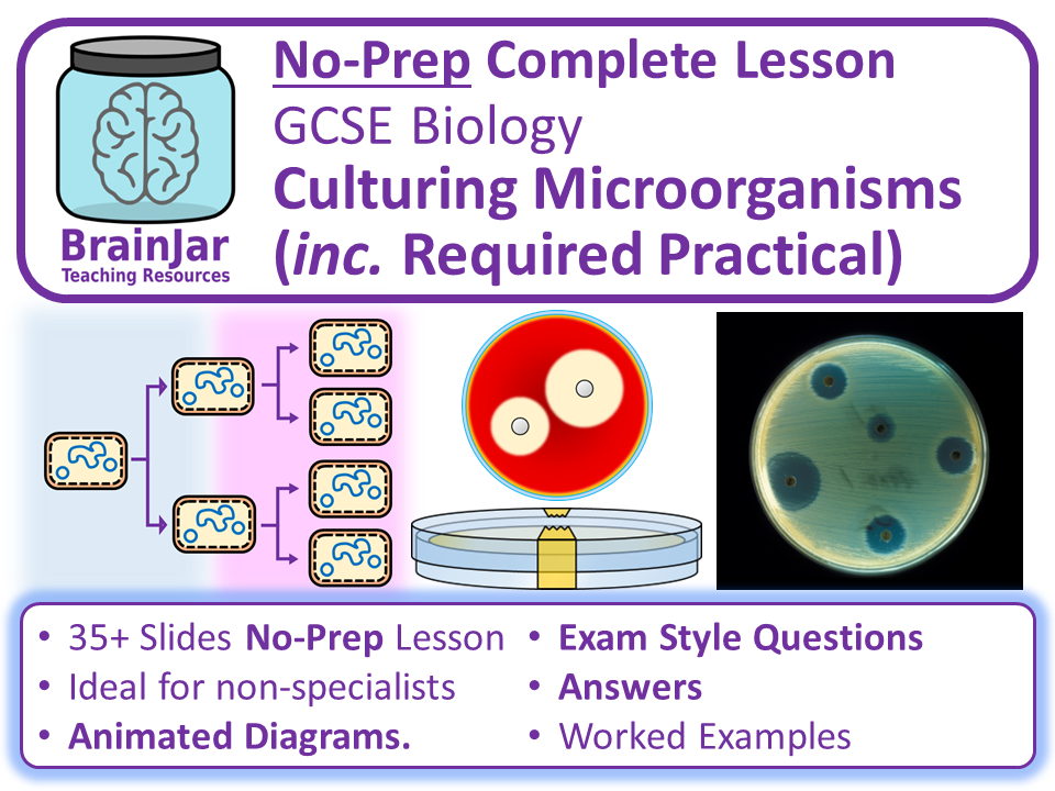 Culturing Microorganisms Growing Bacteria Teaching Resources