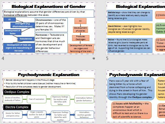 Gender Revision Powerpoint For Aqa Psychology Teaching Resources