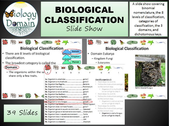 Biological Classification Slide Show Teaching Resources