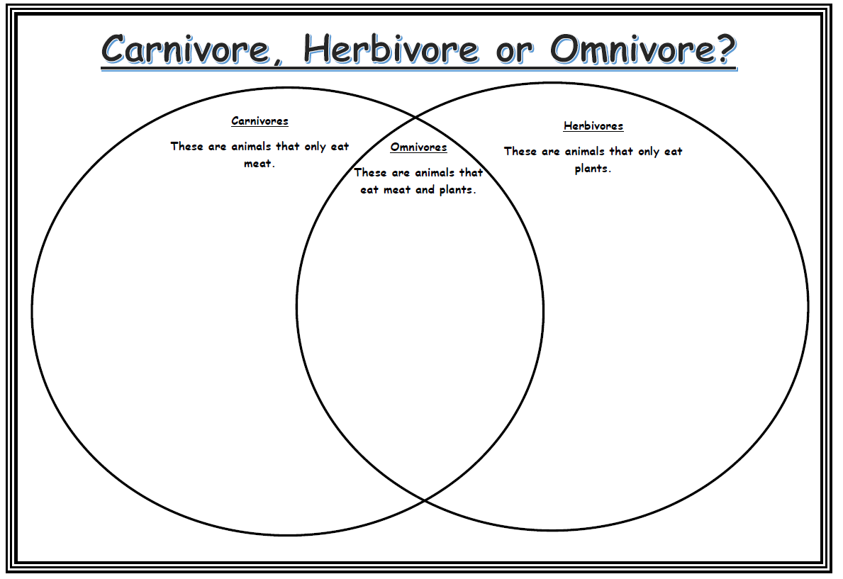 Ks1 Carnivore Omnivore Herbivore Sorting Teaching Resources