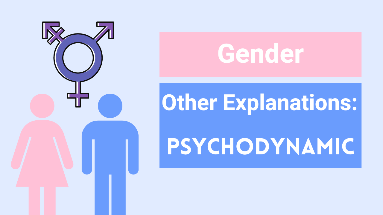 A Level Psychology Aqa Gender Complete Collection Teaching