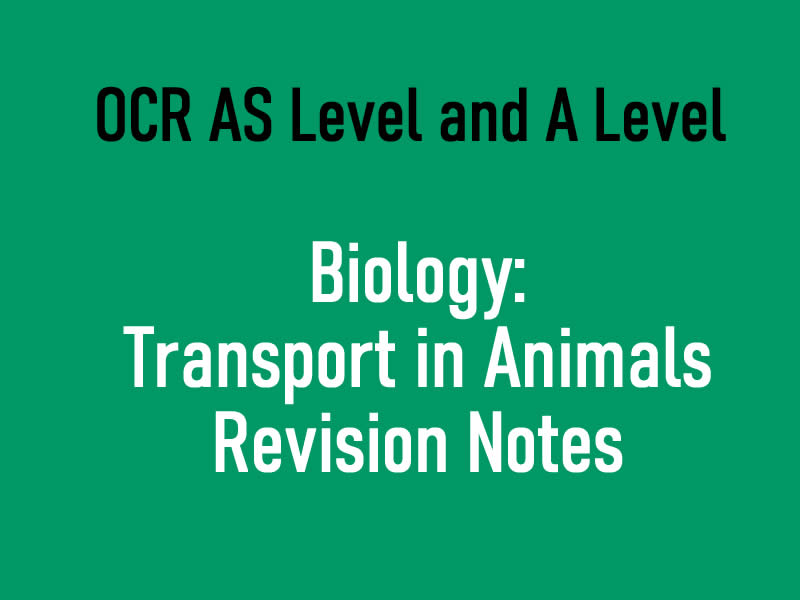 Ocr A Level Biology Transport In Animals Revision Notes Teaching