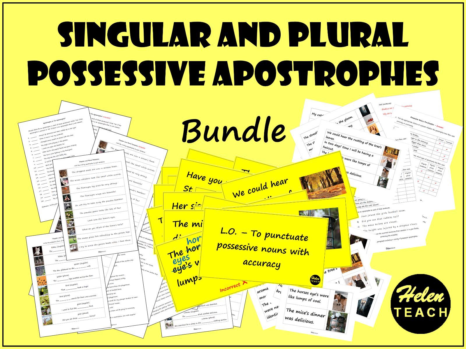 Singular And Plural Possessive Apostrophes Activities Quiz And Worksheets