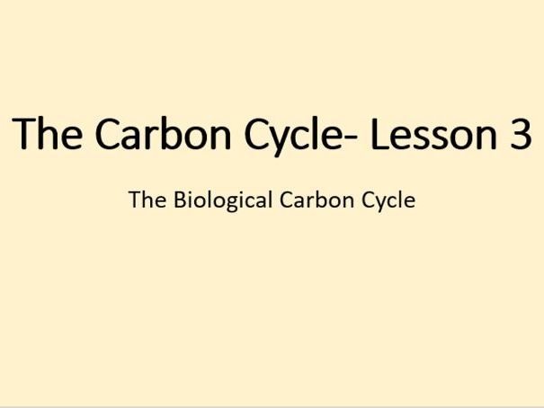 The Carbon Cycle Biological Carbon Cycle Edexcel Teaching Resources