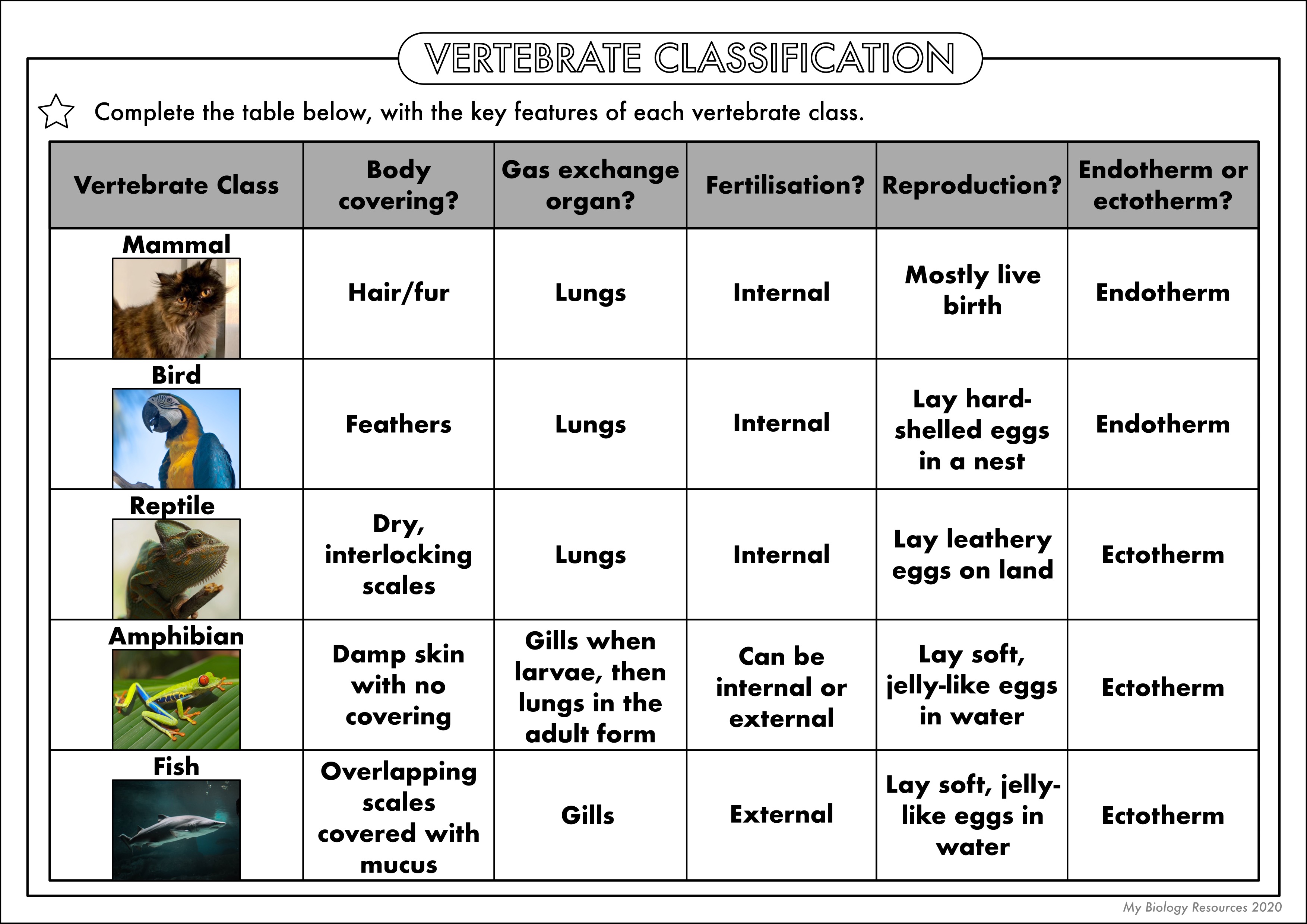 Gcse Biology Classification Ppt Worksheets By Jam2015 Teaching Vrogue