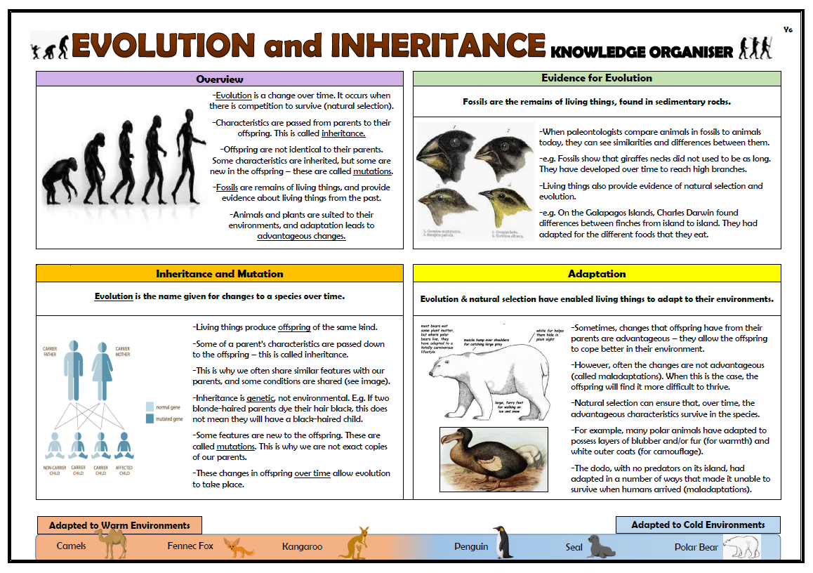 Year 6 Evolution And Inheritance Knowledge Organiser Teaching Resources