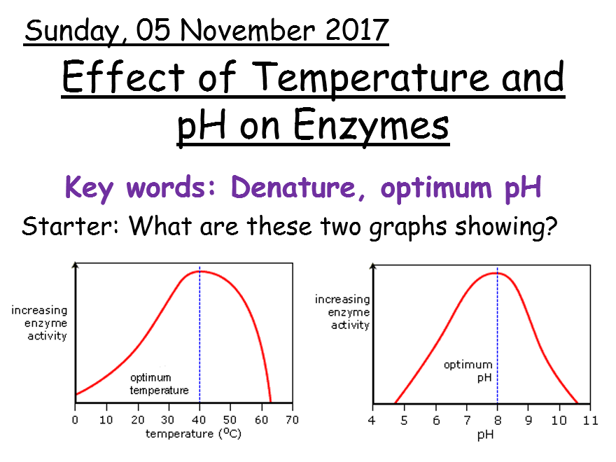 Diagram Diagram Of Enzyme Temperature Mydiagramonline