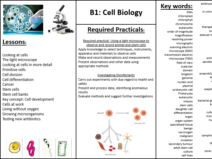 Revision Sheets Aqa Triple Science 9 1 Teaching Resources