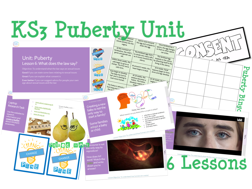 Pshe Unit Of Work Bundle Puberty For Ks3 Teaching Resources