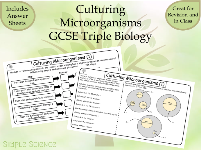 Culturing Microorganisms Triple Gcse Biology Worksheets Teaching