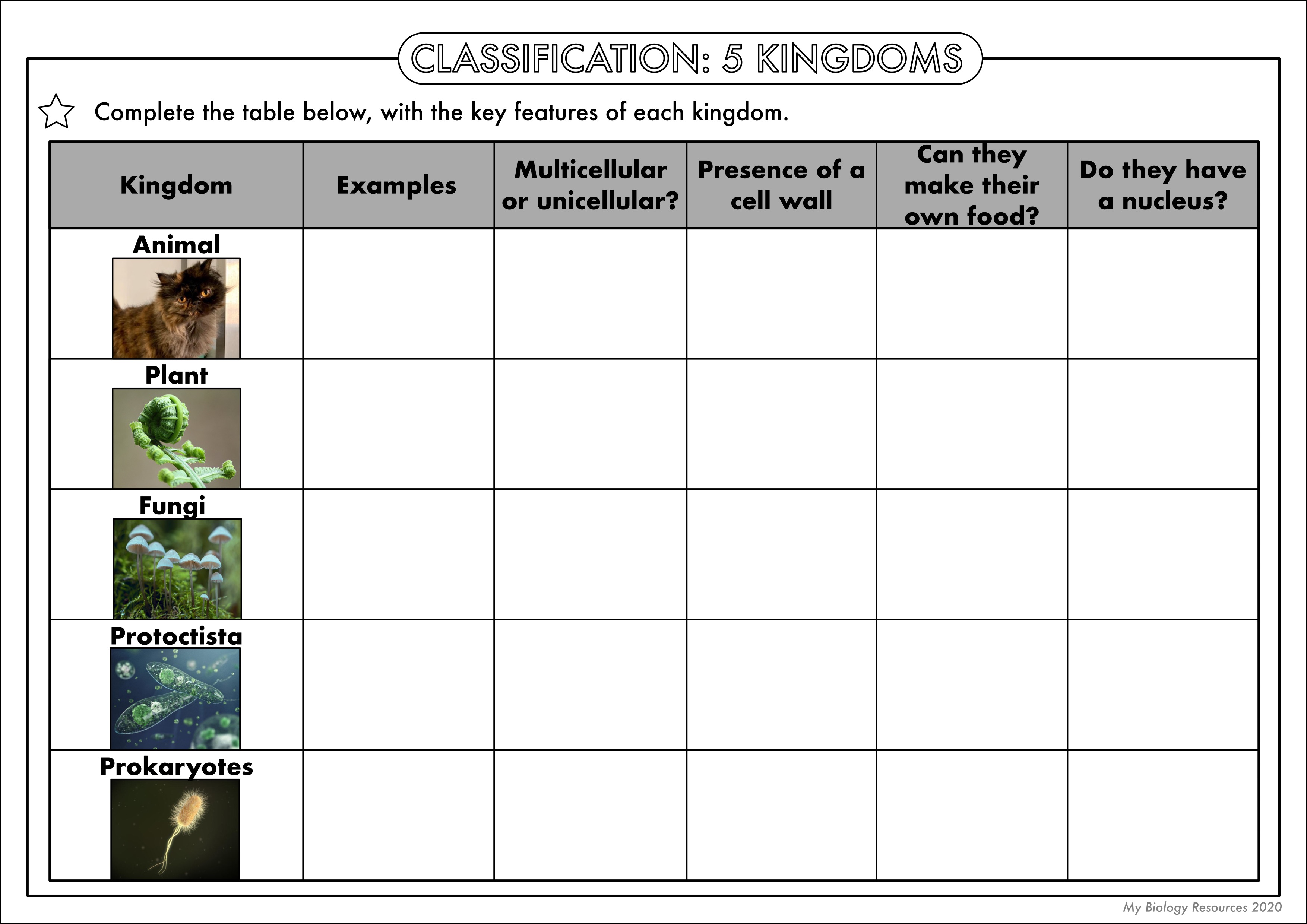 Gcse Biology Classification Worksheet Pack Teaching Resources