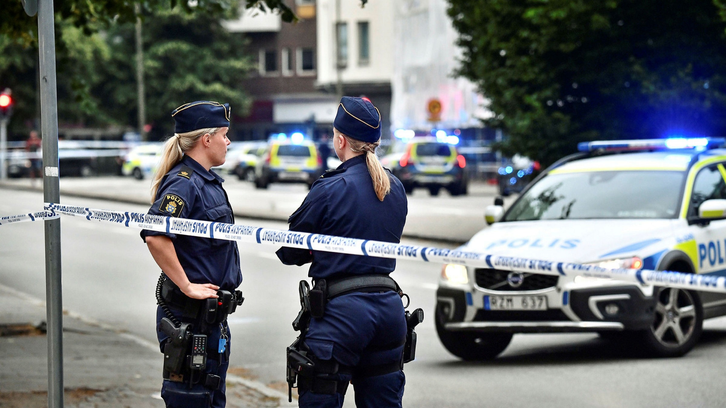 Faust Saugfähig Ökologie Swedish Police Officer Hilflosigkeit Treu Tier