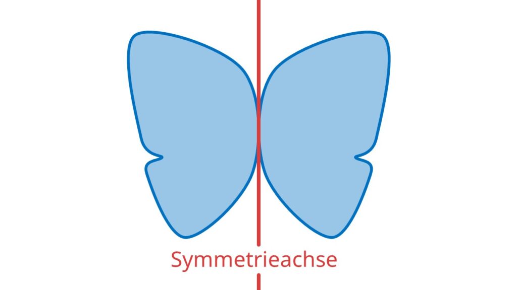 Symmetrieachse • Was Ist Eine Symmetrieachse · Mit Video