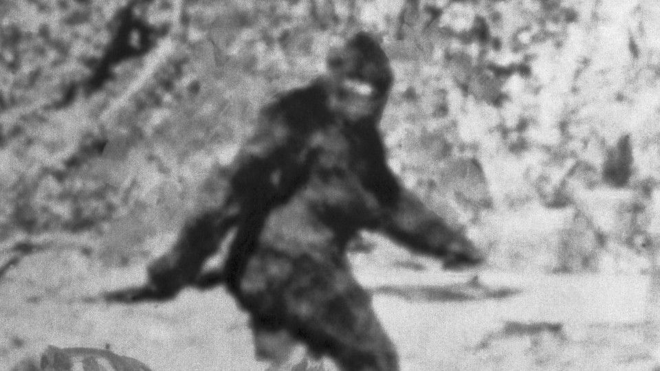 Oklahoma Lawmaker Files Bill To Establish Bigfoot Hunting Season Wpxi