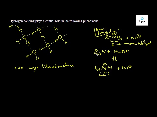 Hydrogen Bonding Plays A Central Role In The Following Phenomena