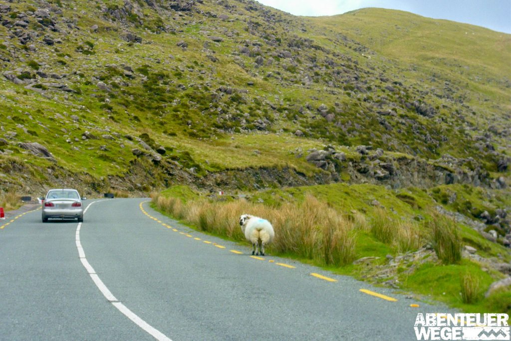 Autofahren In Irland Drive And Hike Blog Abenteuerwege