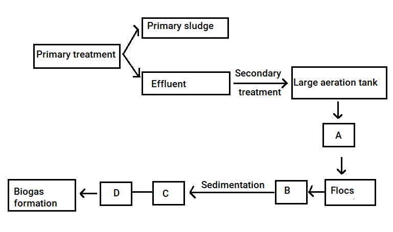 Microbes In Sewage Treatment Definition Examples Diagrams