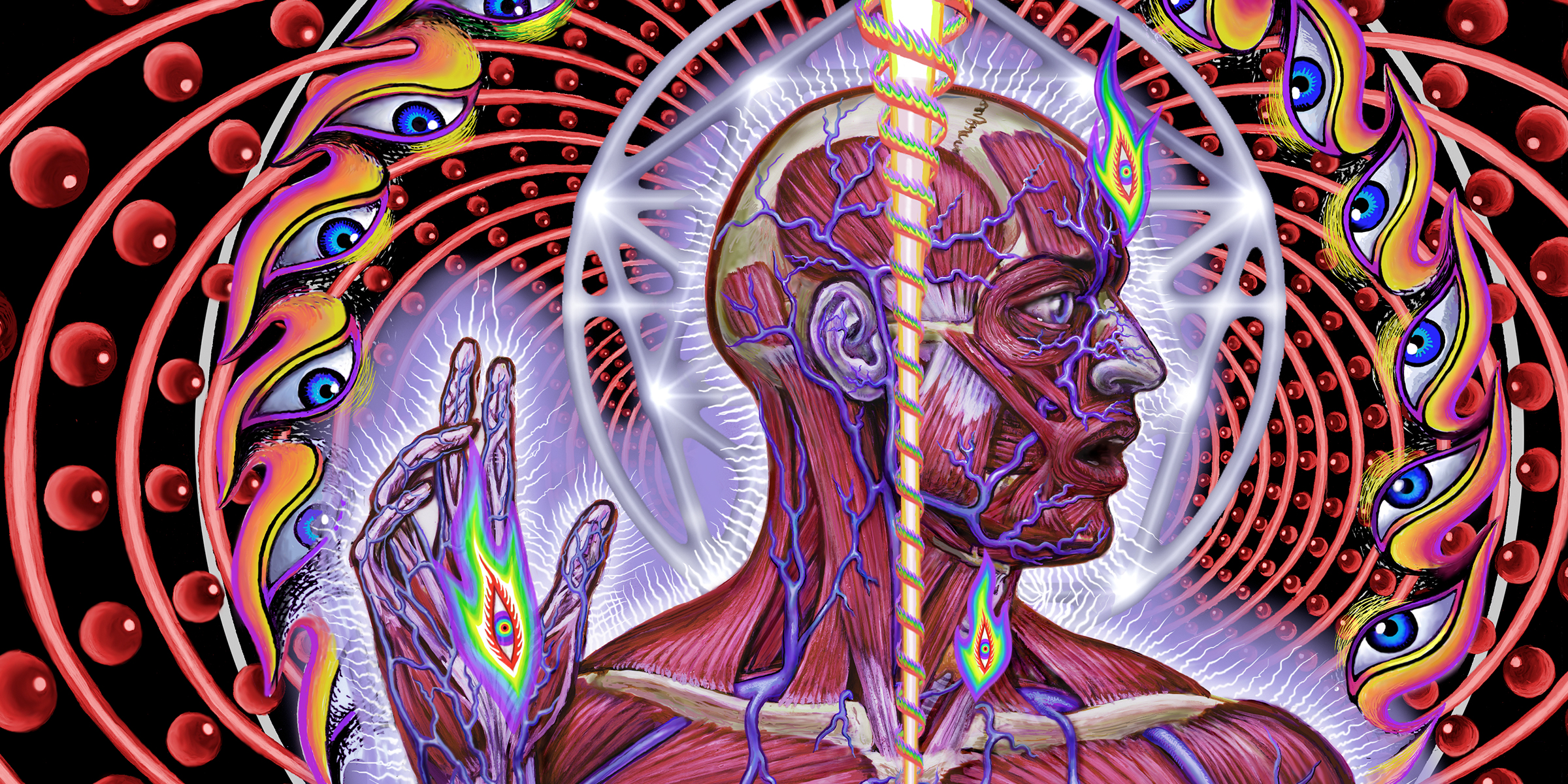 Alex Grey Tool Album Art The Best Porn Website