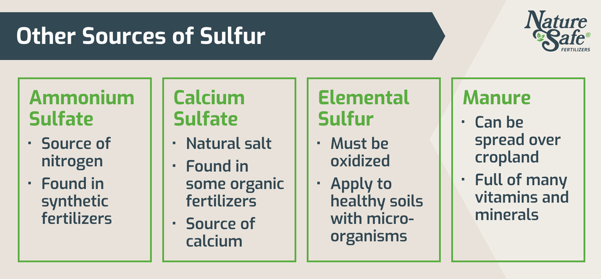 The Benefits Of Sulfur In Your Fertilizer Nature Safe Fertilizers