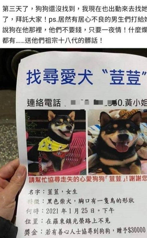 上網懸賞協尋愛犬卻遭電話性騷擾 女飼主氣哭 中華日報中華新聞雲