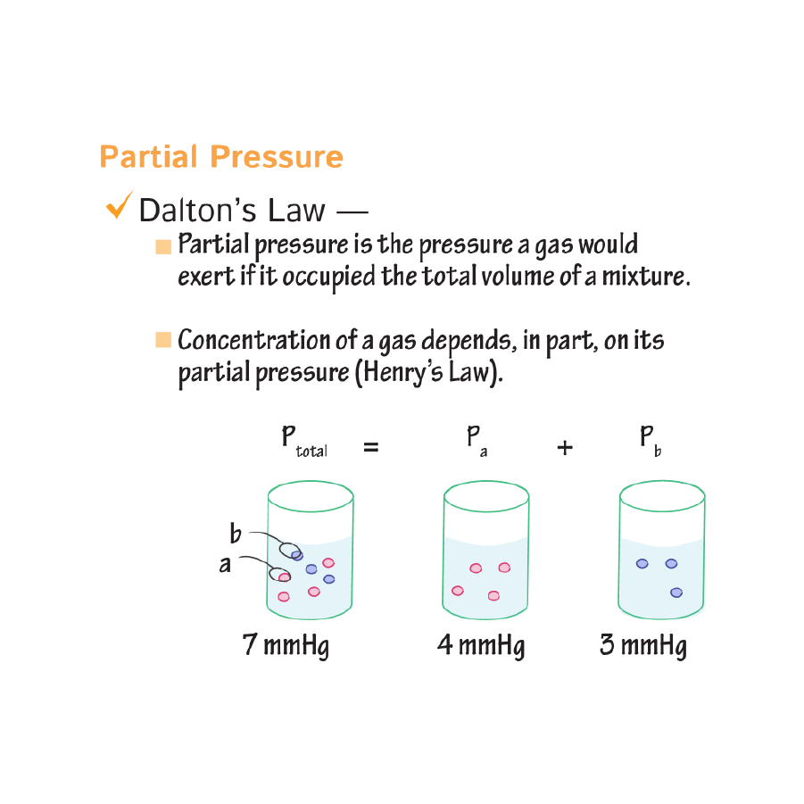 Physiology Glossary Partial Pressures Ditki Medical And Biological