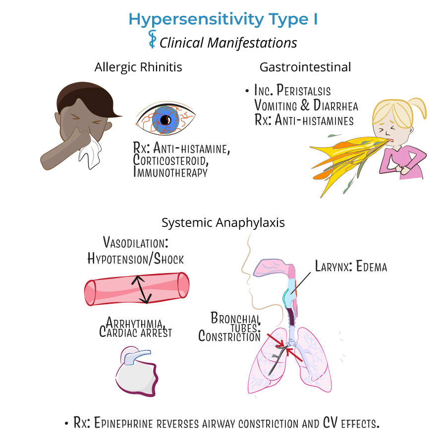 Clinical Pathology Glossary Hypersensitivity Type I Ditki Medical