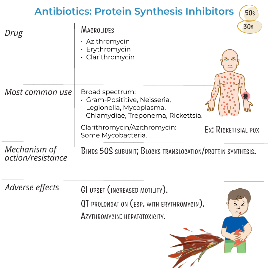 Immunology Microbiology Glossary Tuberculosis Pathoge