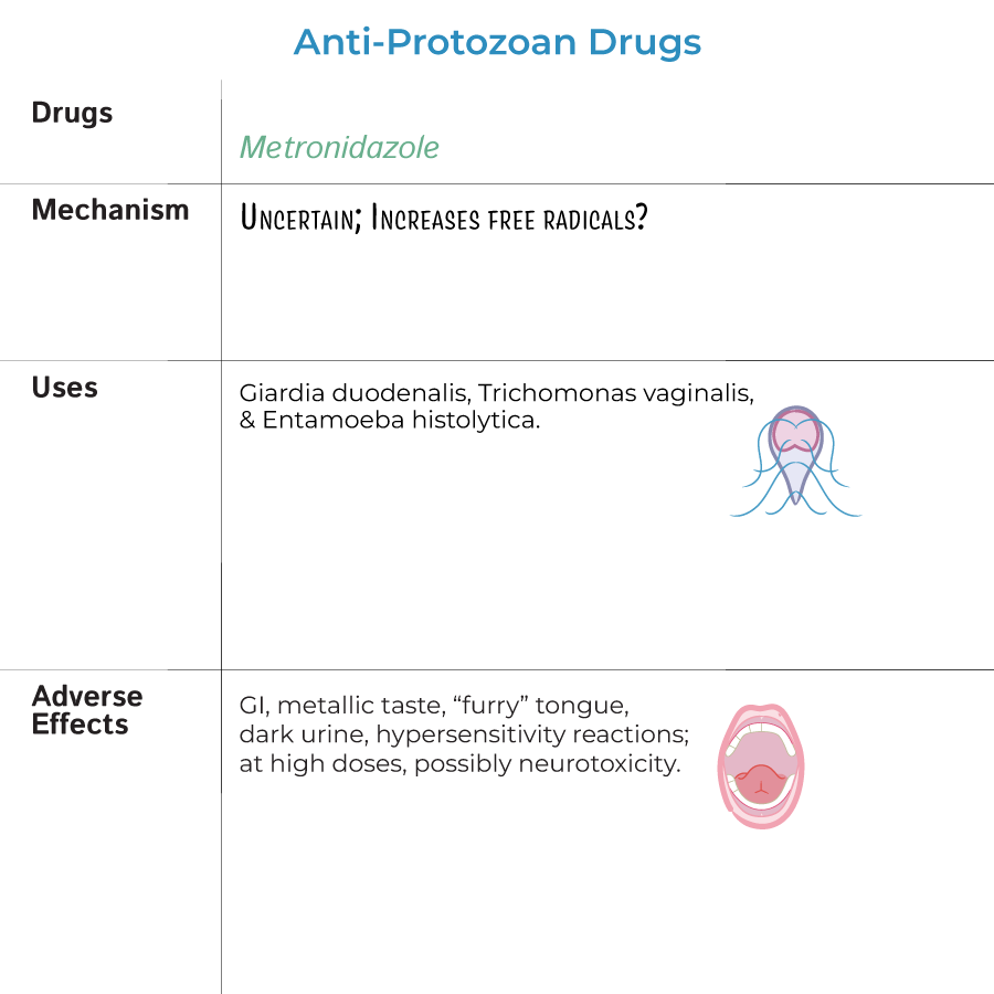 Immunology Microbiology Glossary Anti Protozoan Agents Ditki