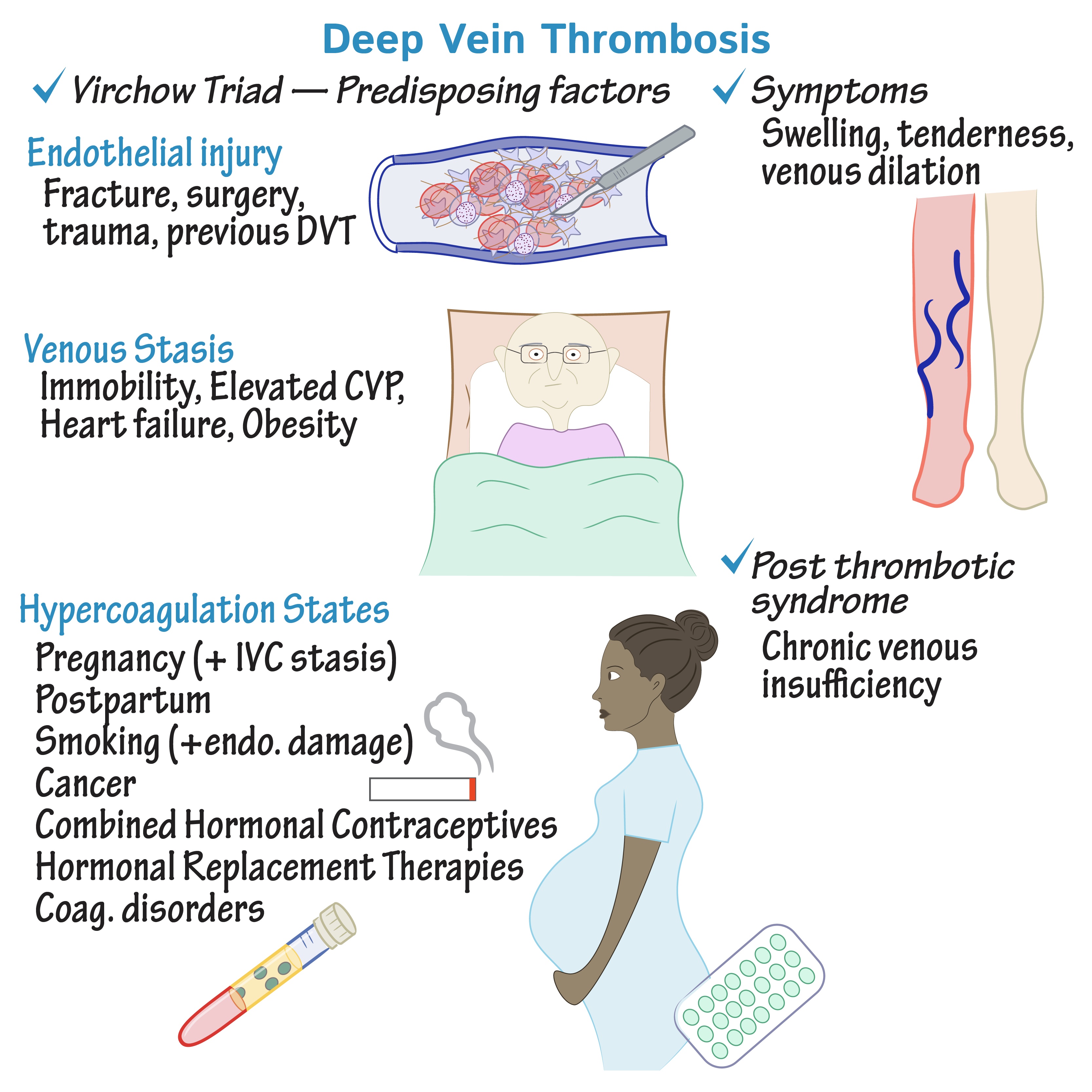 Pathology Glossary Deep Vein Thrombosis Draw It To Know It