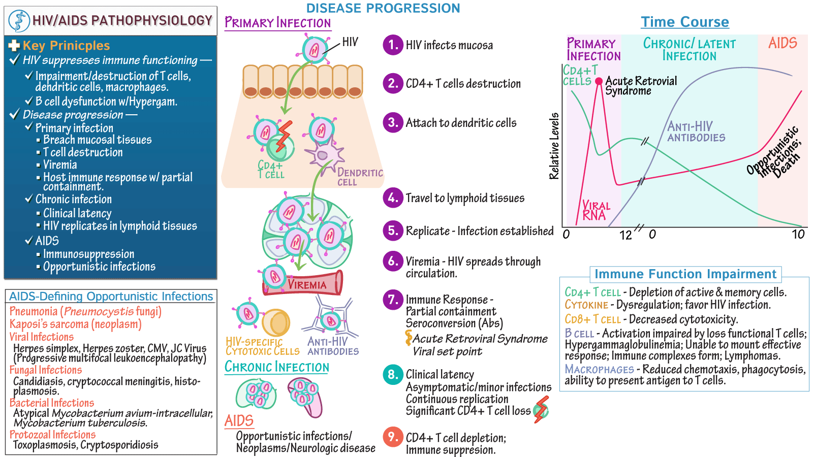 Anatomy And Physiology Pathophysiology Of Hiv Ditki Medical