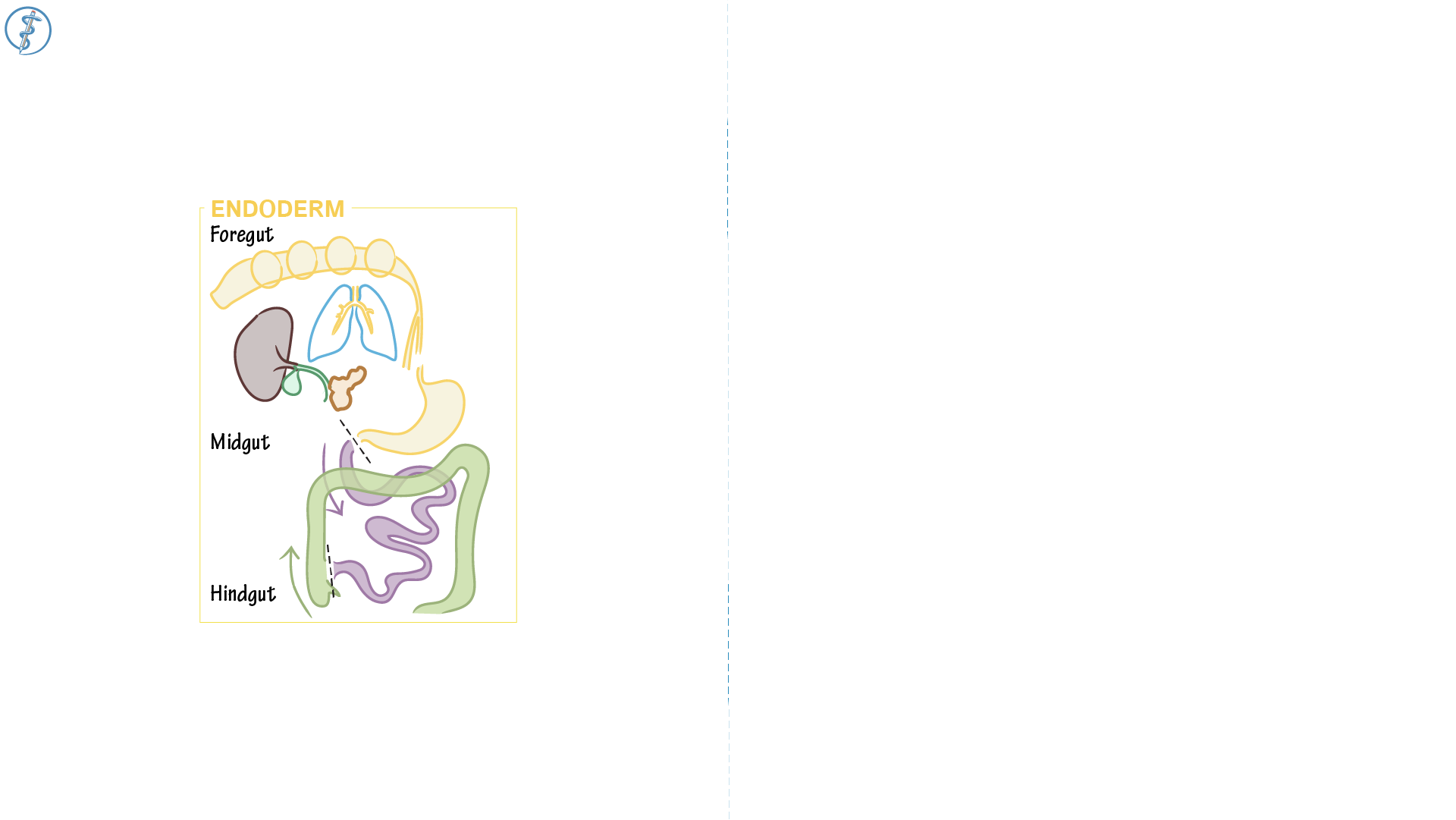 Bms Anatomy Cross Section Of The Leg Ditki Medical Bi