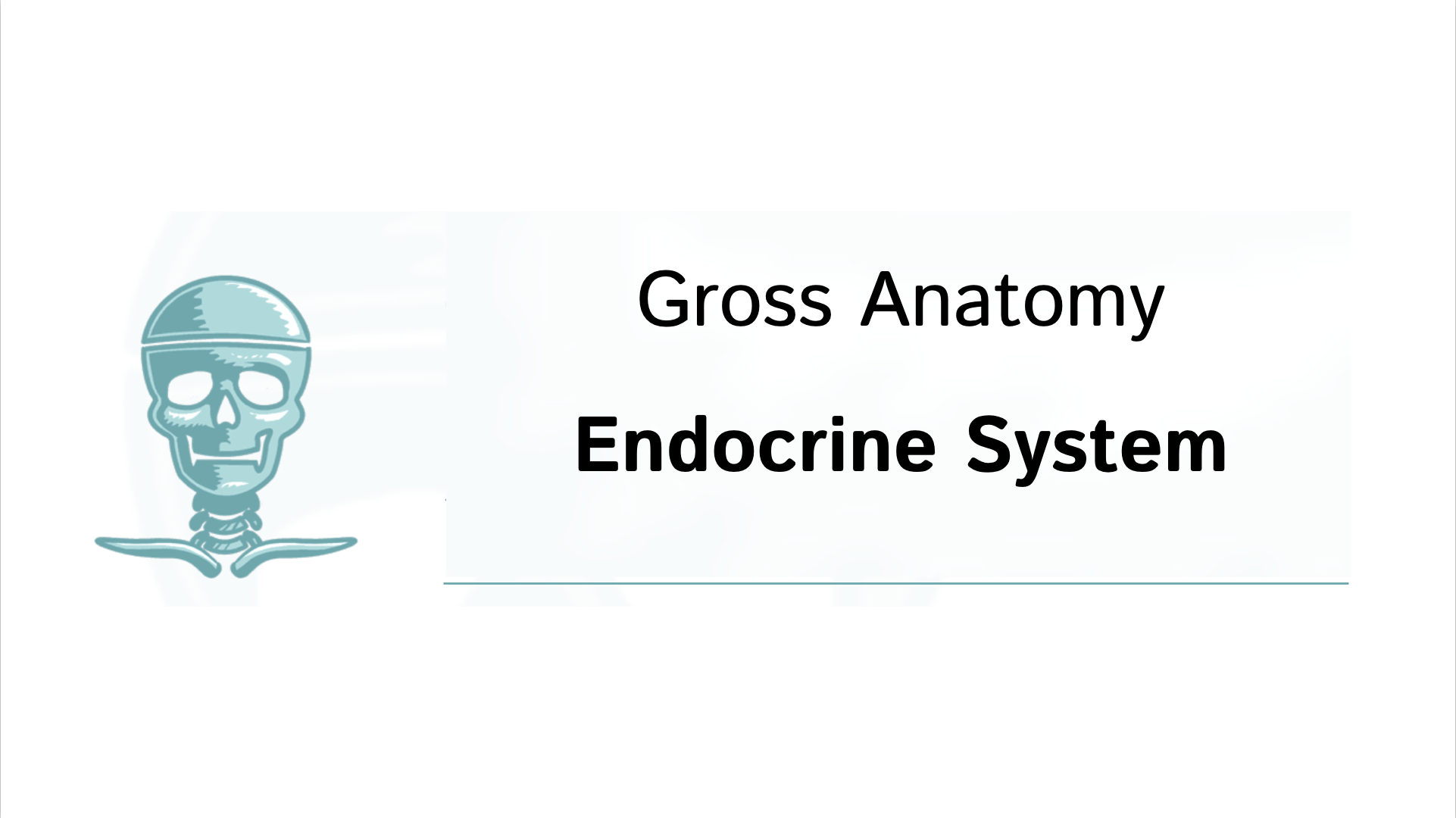 Usmle Comlex Step 1 Endocrine And Immune Systems Slides Ditki