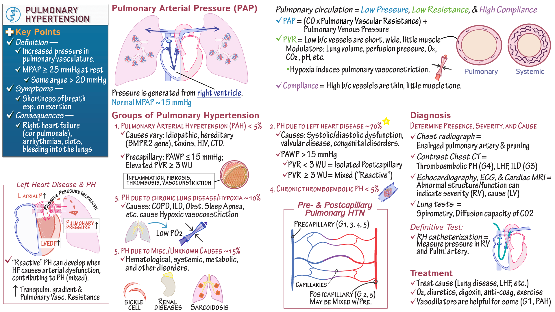 Usmle Comlex Step 1 Pulmonary Hypertension Draw It To Know It