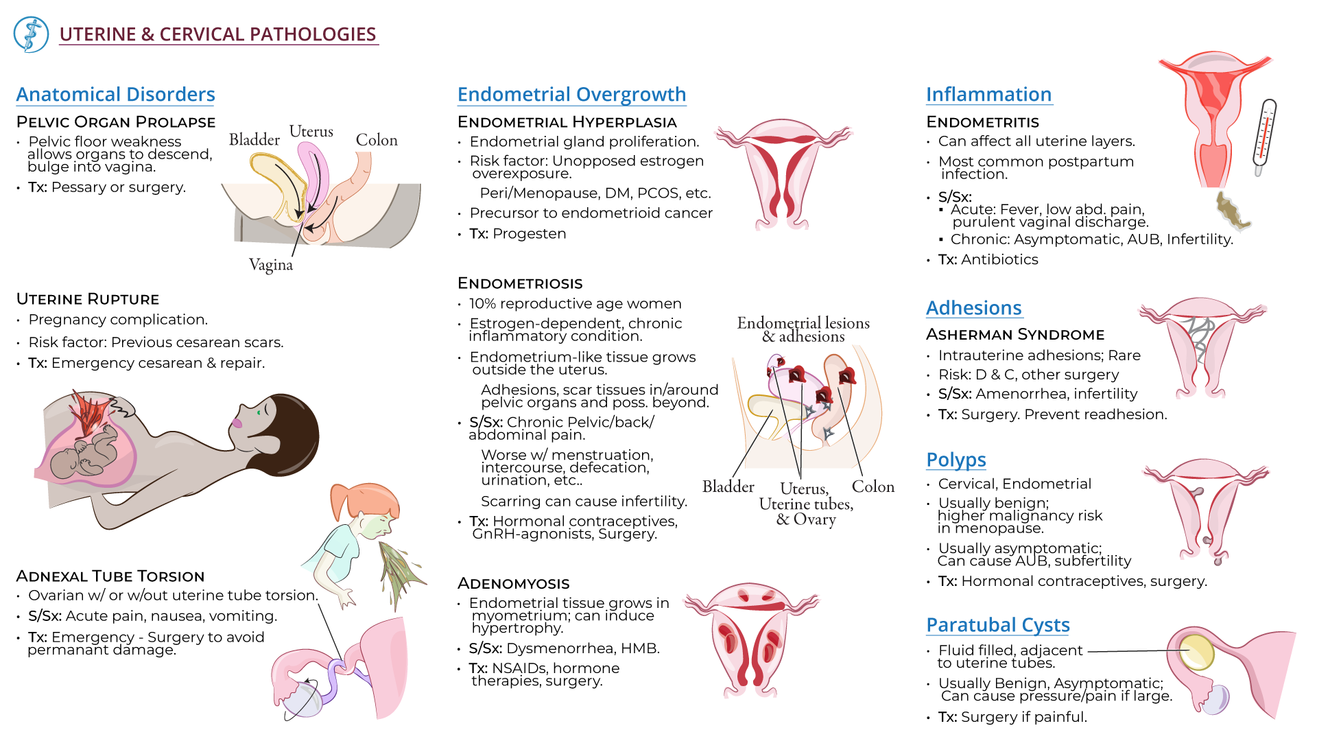 Clinical Pathology Cervical And Uterine Pathologies Endometriosis