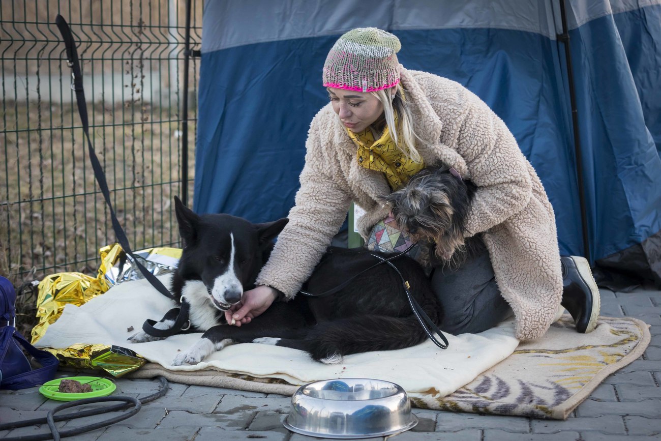 How Ifaw Is Helping Animals And People During The Ukraine Crisis