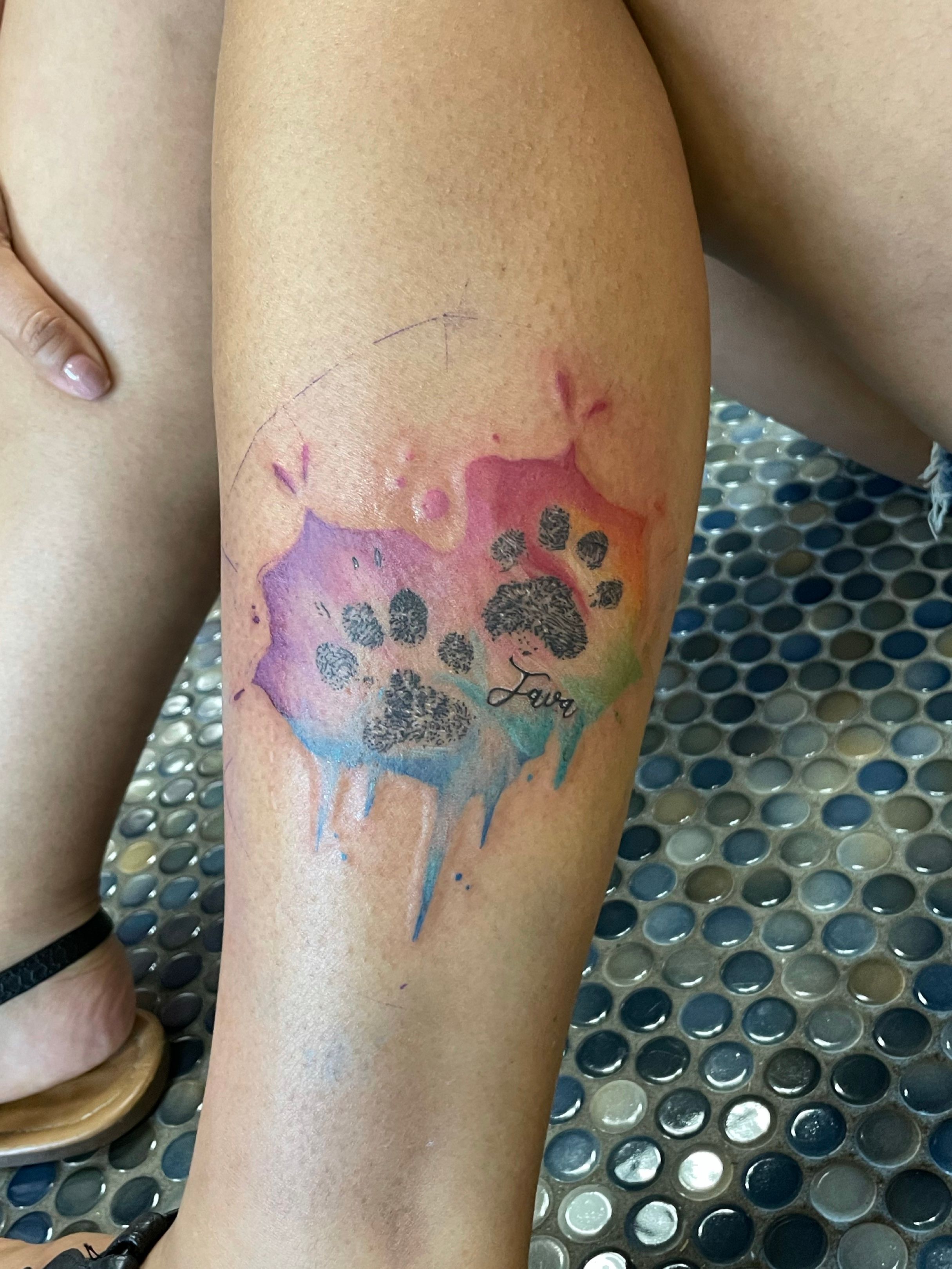 Top More Than 76 Paw Print Watercolor Tattoo Super Hot Ineteachers