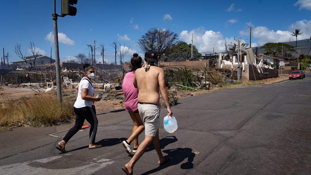 List Help Maui Fire Victims Heres Where You Can Donate