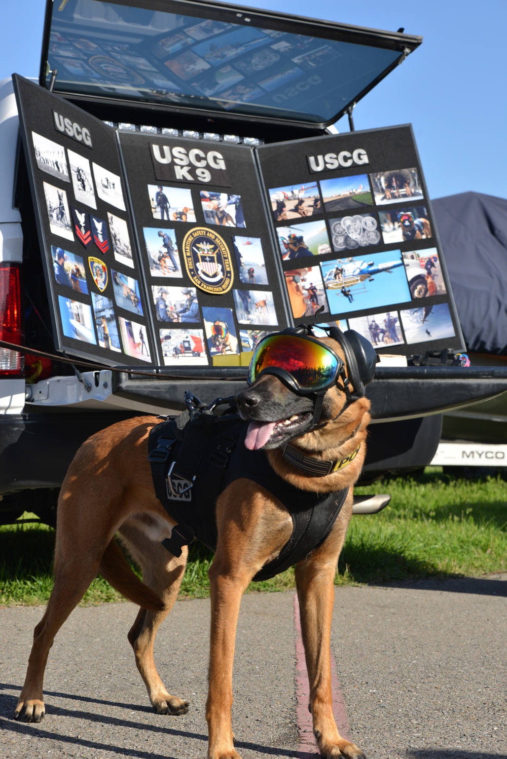 Dvids Images Coast Guard Msst 91105 Team Member And Their Canine