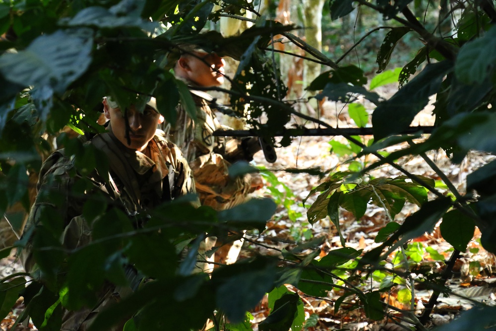 Dvids Images Us Army Soldiers Participate In Jungle Warfare