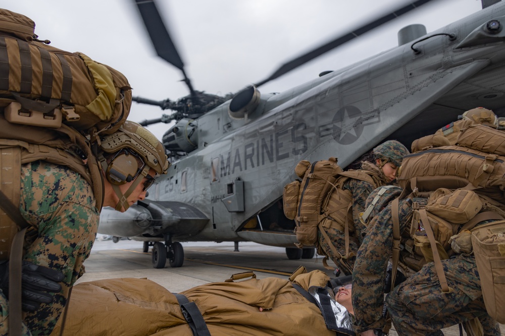 Dvids Images 31st Meu Conducts Mass Casualty Exercise Image 9 Of 13