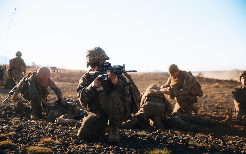 Dvids Images 112 Marines Conduct Mass Casualty Evacuation Training