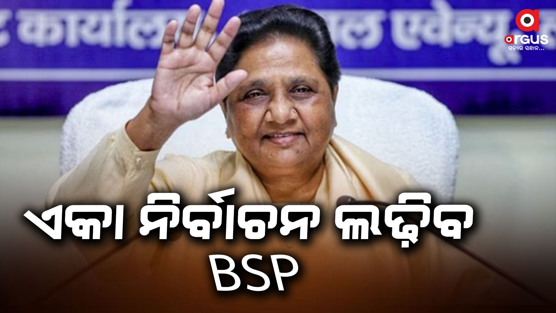 Bsp Is Fighting Lok Sabha Elections 2024 On Its Own