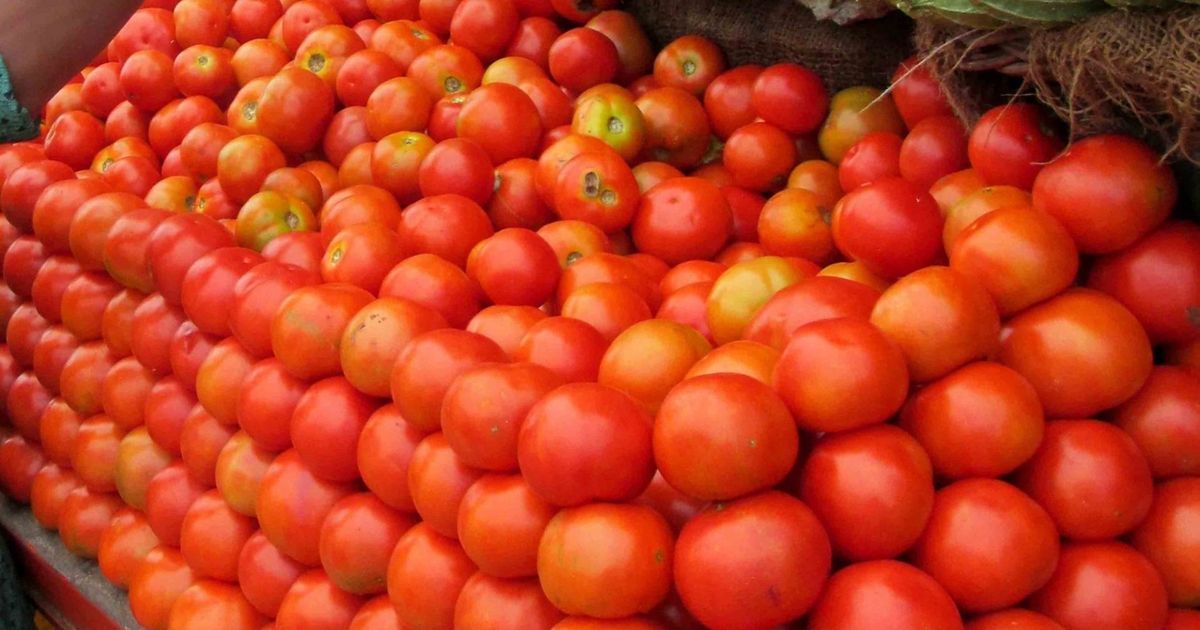 Tomato Prices In Delhi Soar To Rs 80 Per Kg Traders Say Crop Damaged