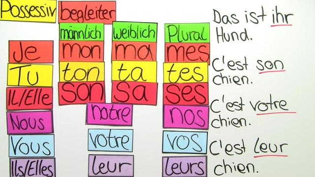 Possessivbegleiter 1 Einfach Erklärt Und Mit Arbeitsblättern Geübt